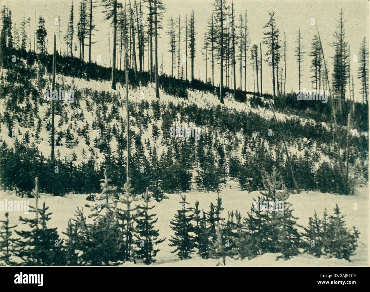 Pine st inn hi-res stock photography and images - Alamy