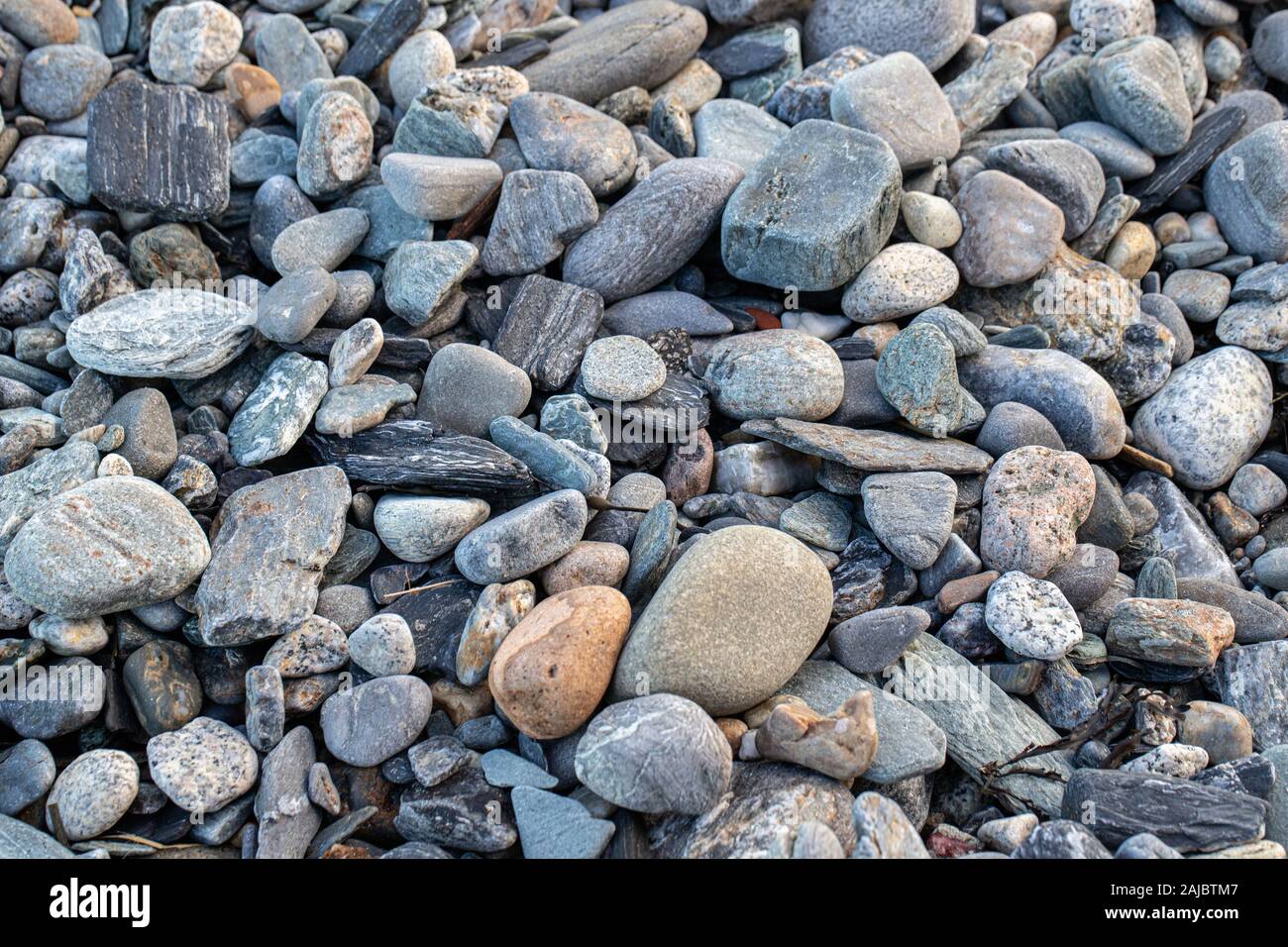 Pebbles from beach during low tide Stock Photo - Alamy
