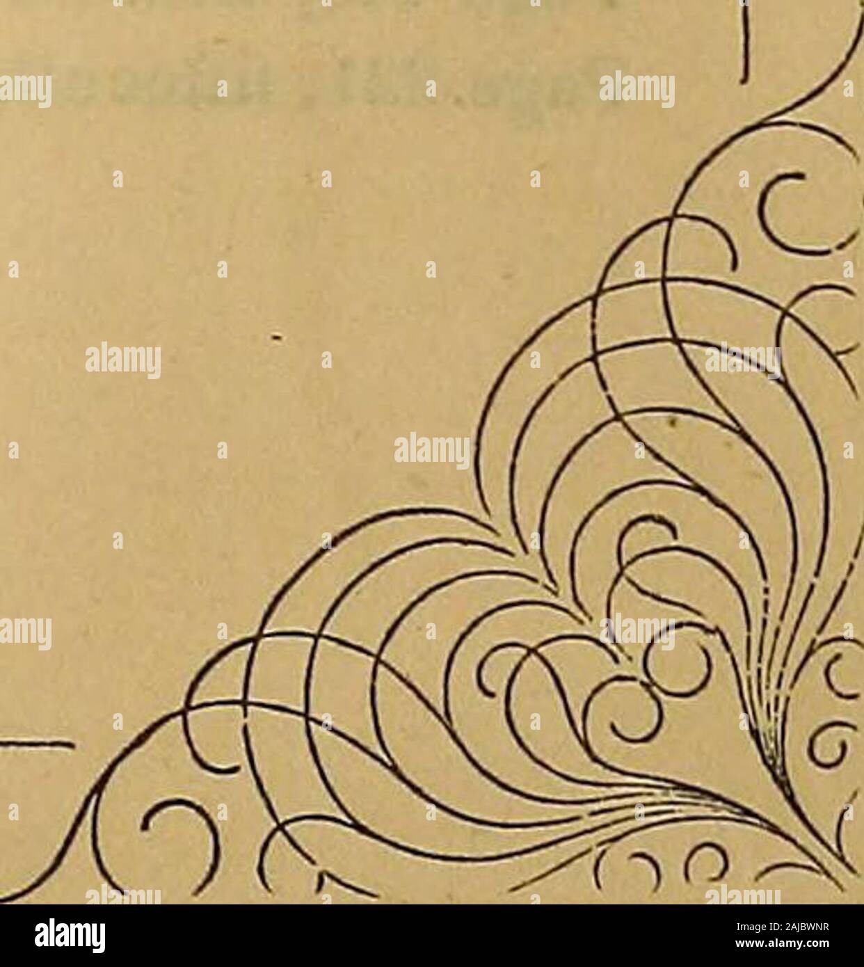 Lidgett hi-res stock photography and images - Alamy