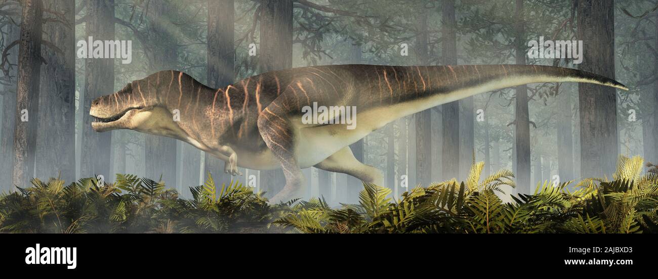 A fat tyrannosaurus rex stands in a prehistoric forest. The most ...