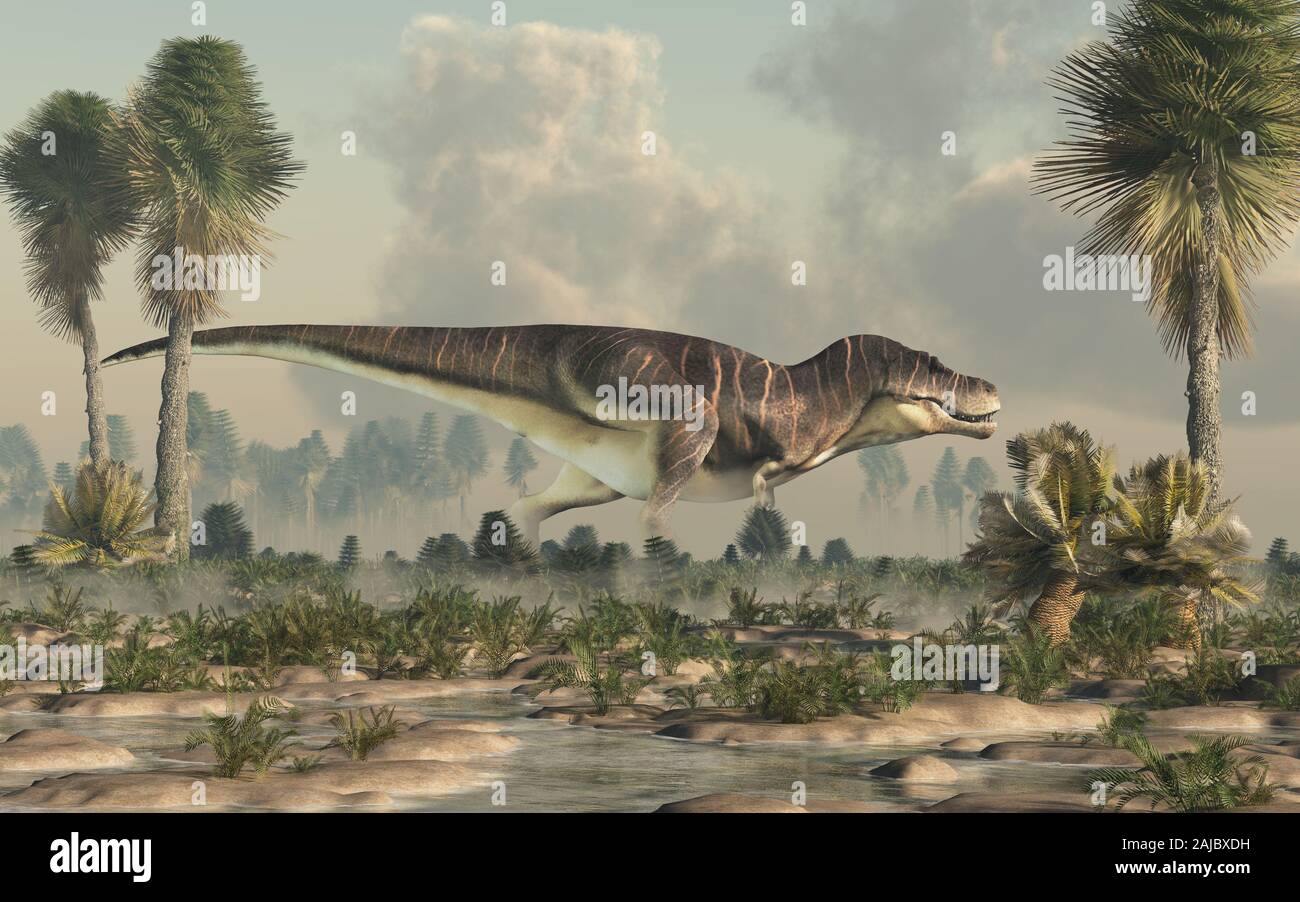 A fat tyrannosaurus rex stands in a prehistoric wetland. The most ...