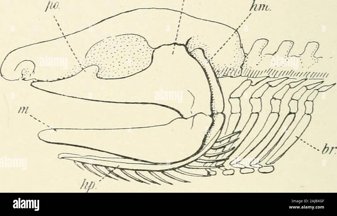 Dean of arches hi-res stock photography and images - Alamy