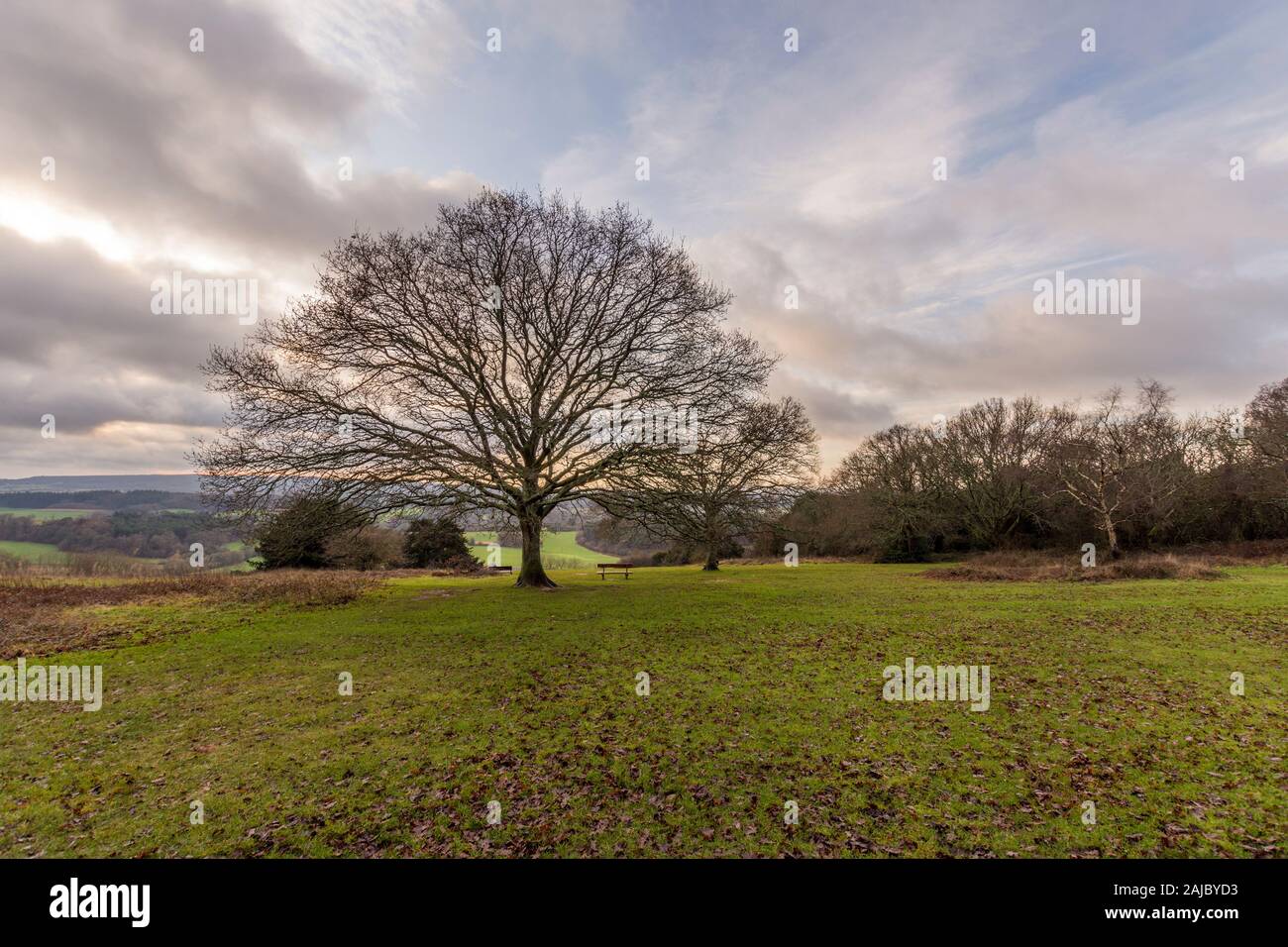 Beautiful rural landscape in Newlands Corner ,England ,UK Stock Photo ...
