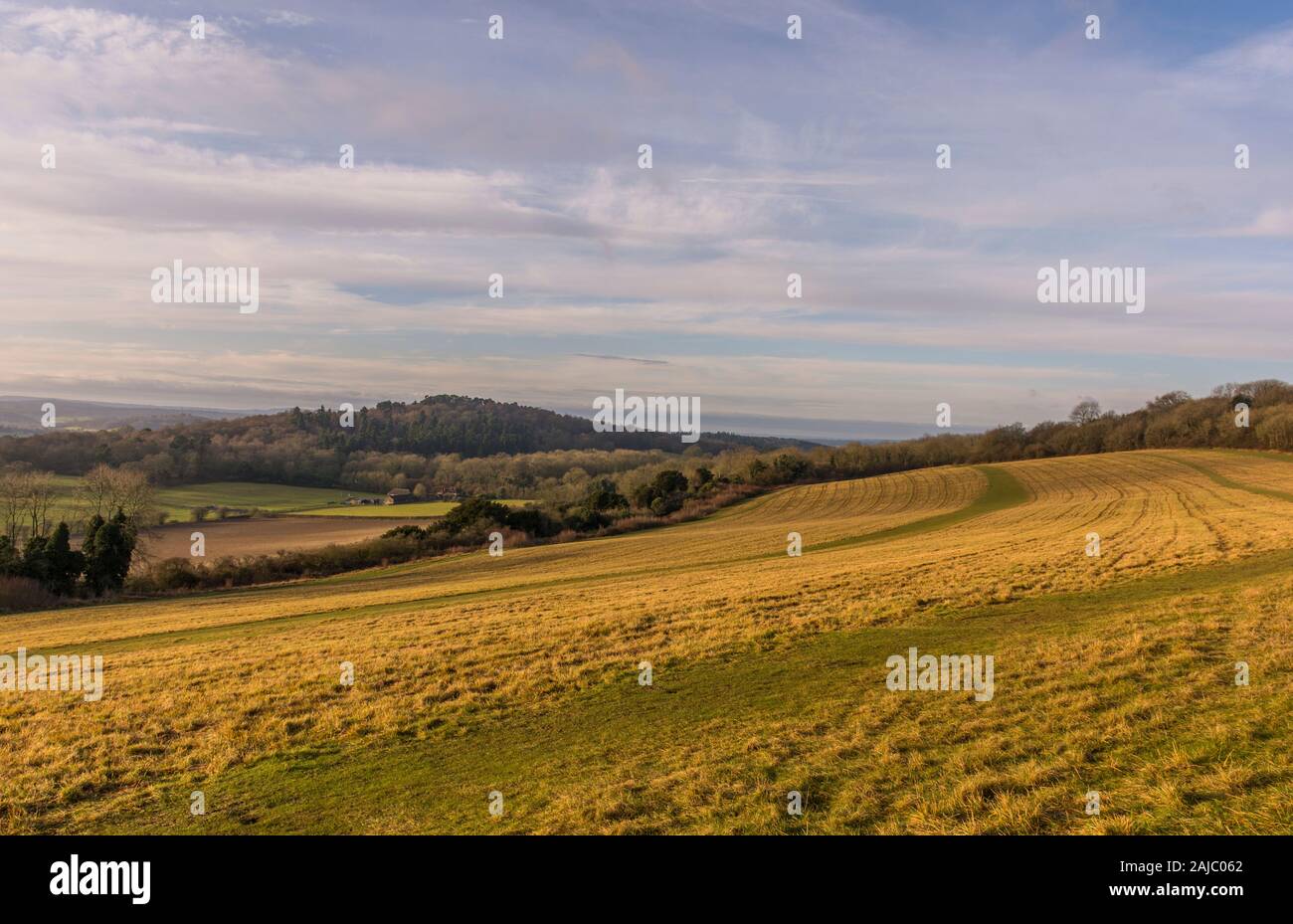 Beautiful rural landscape in Newlands Corner ,England ,UK Stock Photo ...