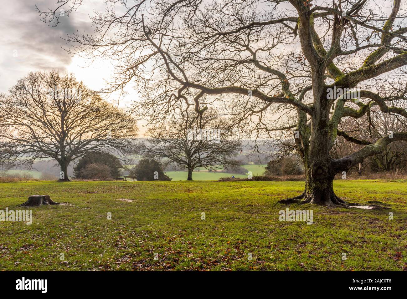 Surrey hill and woodlands hi-res stock photography and images - Alamy