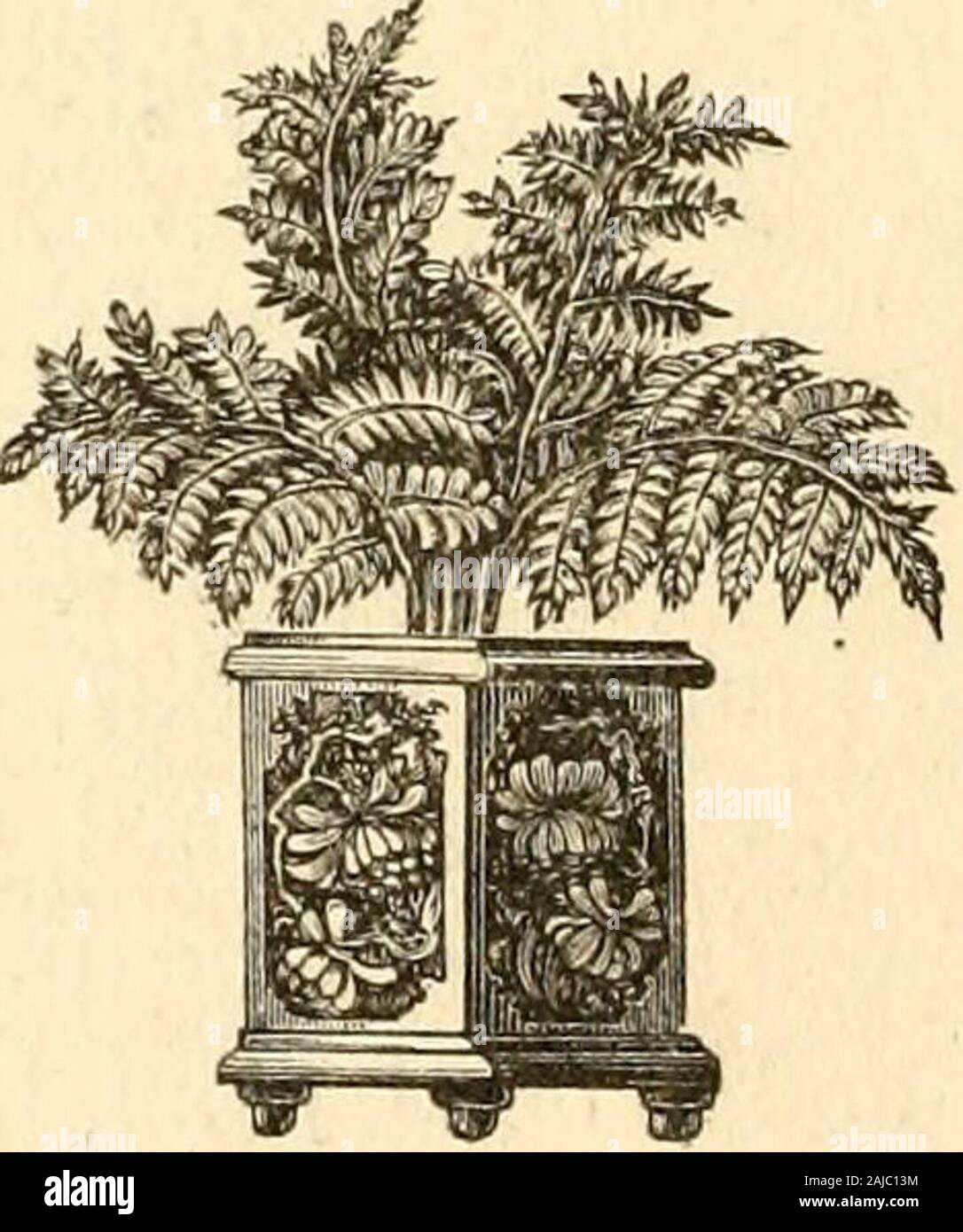 J w w birch hi-res stock photography and images - Alamy