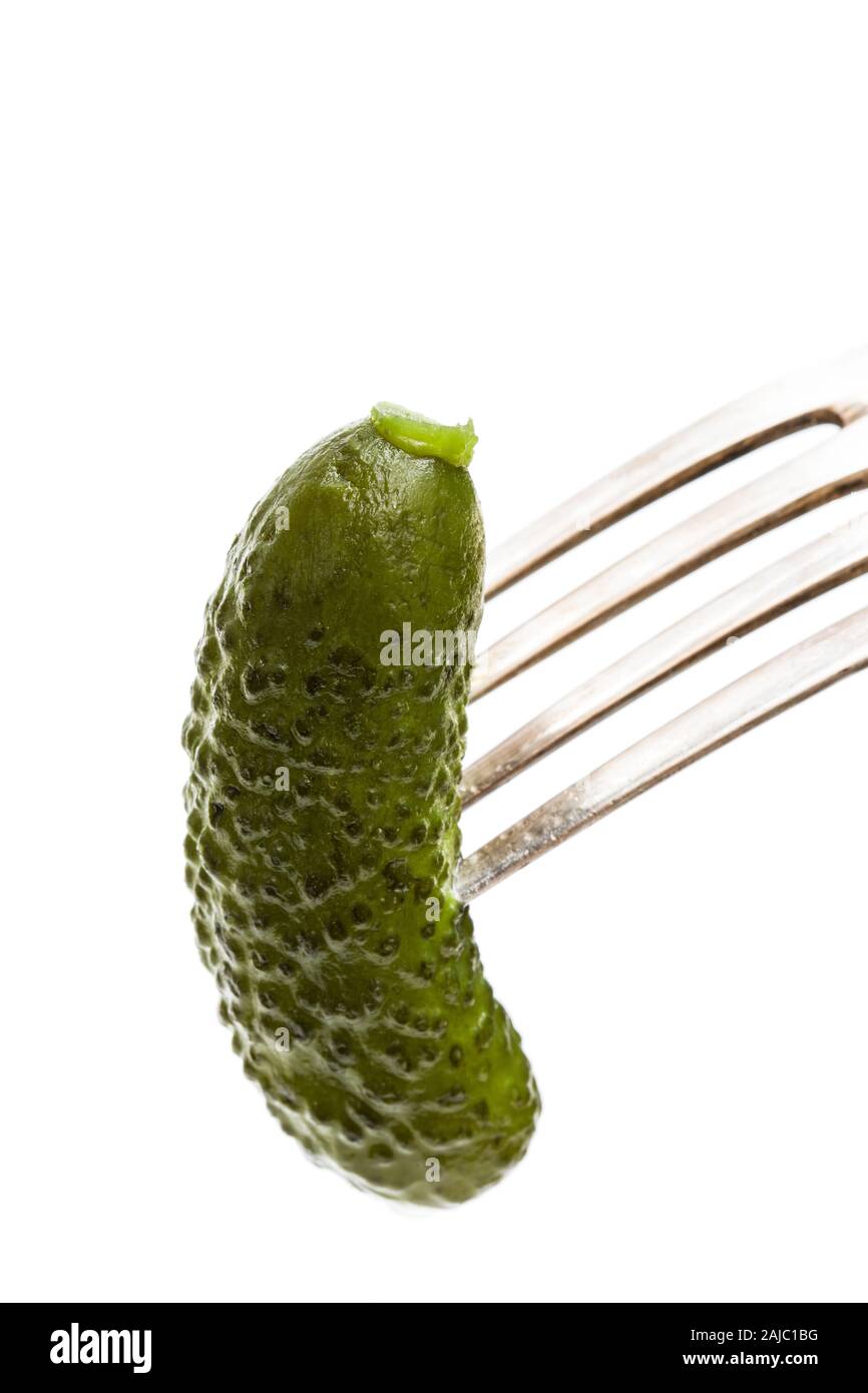 Pickled cucumber sticking on a fork isolated on white Stock Photo - Alamy