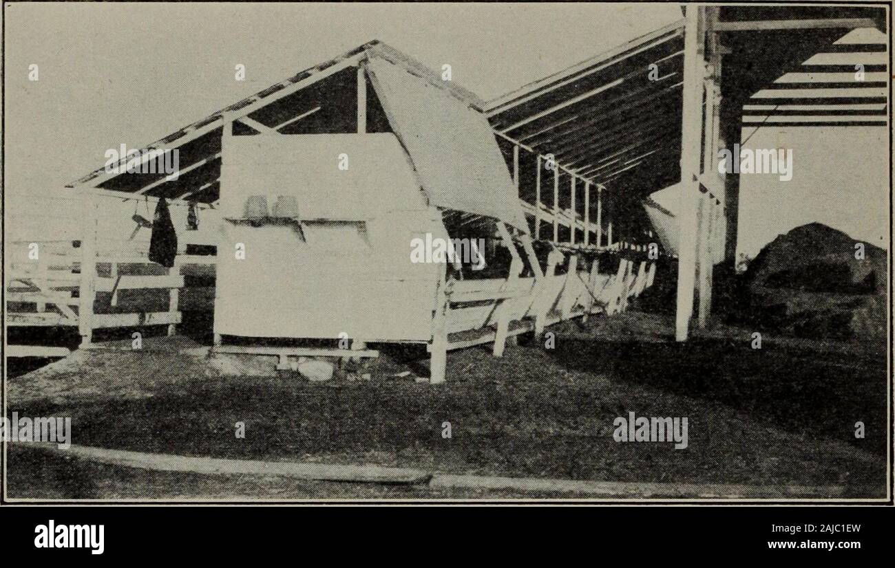 The dairy cow's record and the stable . Fig. 13.Fig. 13 shows the ...