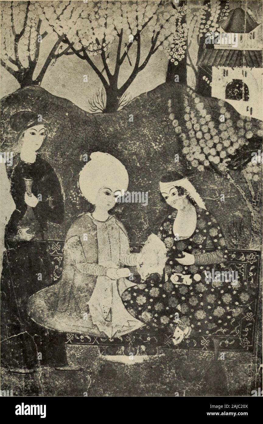 Bestiality or zoophilia hi-res stock photography and images - Alamy