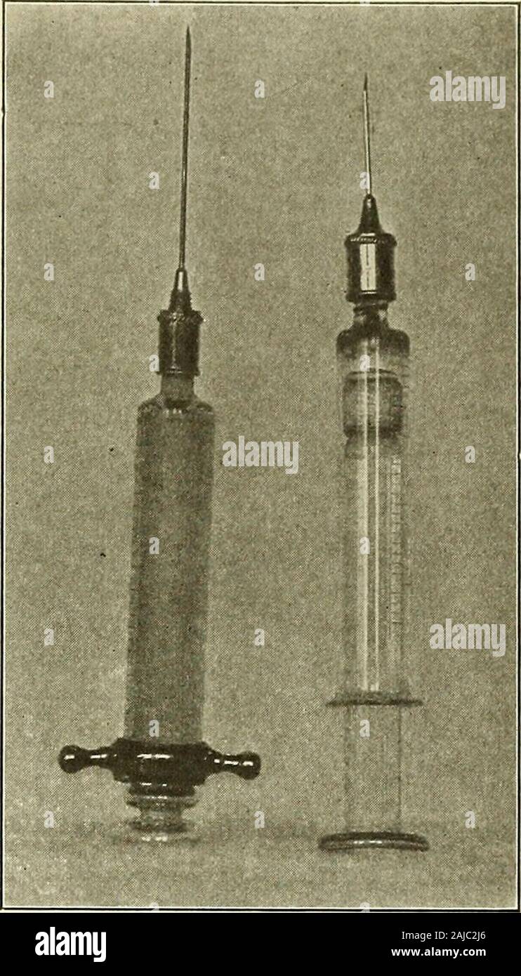 Longneedle hi-res stock photography and images - Alamy