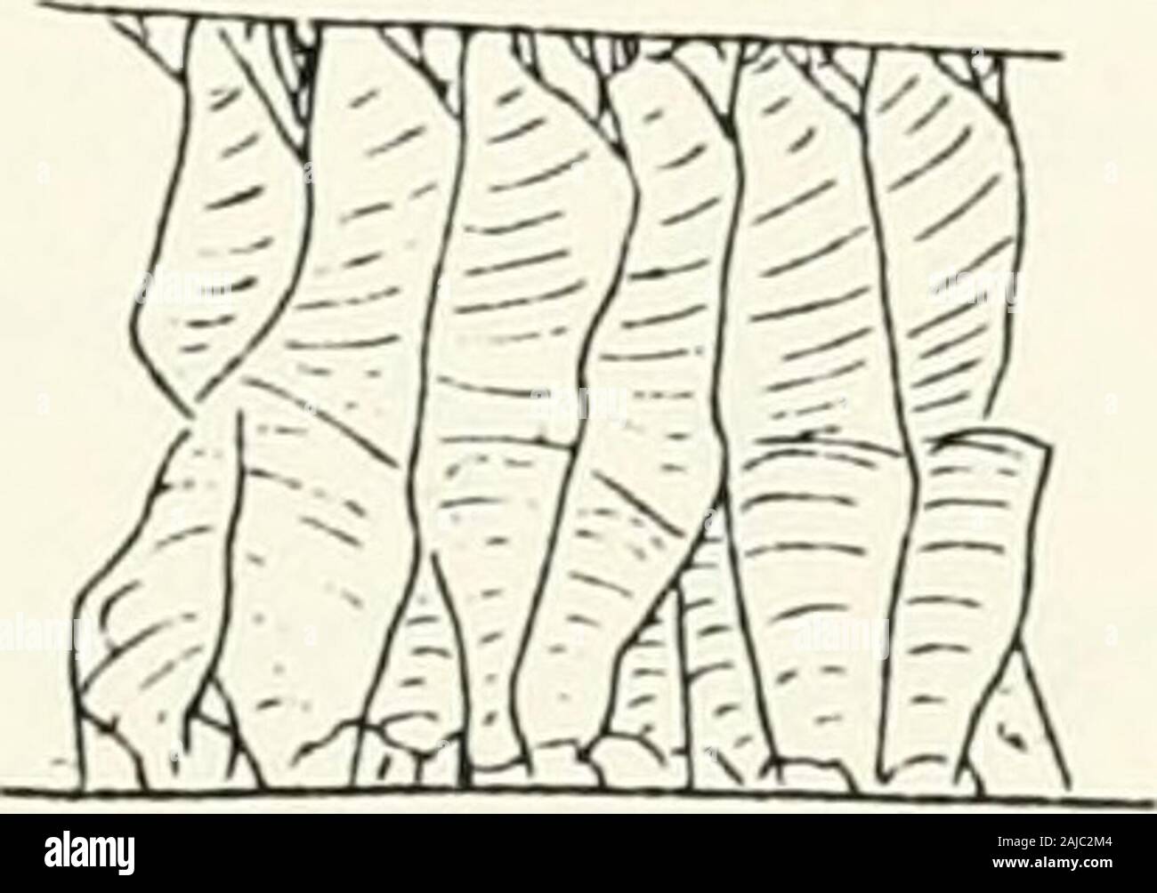 Archaic objects . itais Stock Photo - Alamy