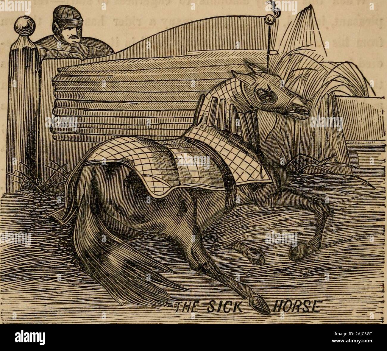 Nactive hi-res stock photography and images - Alamy