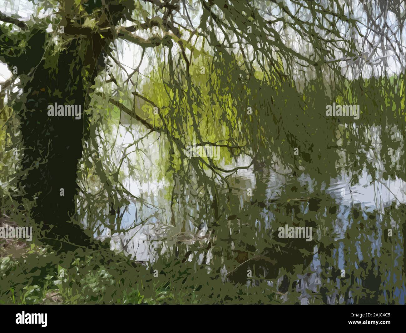 Salix, Weeping Willow tree over water, cutout Stock Photo - Alamy