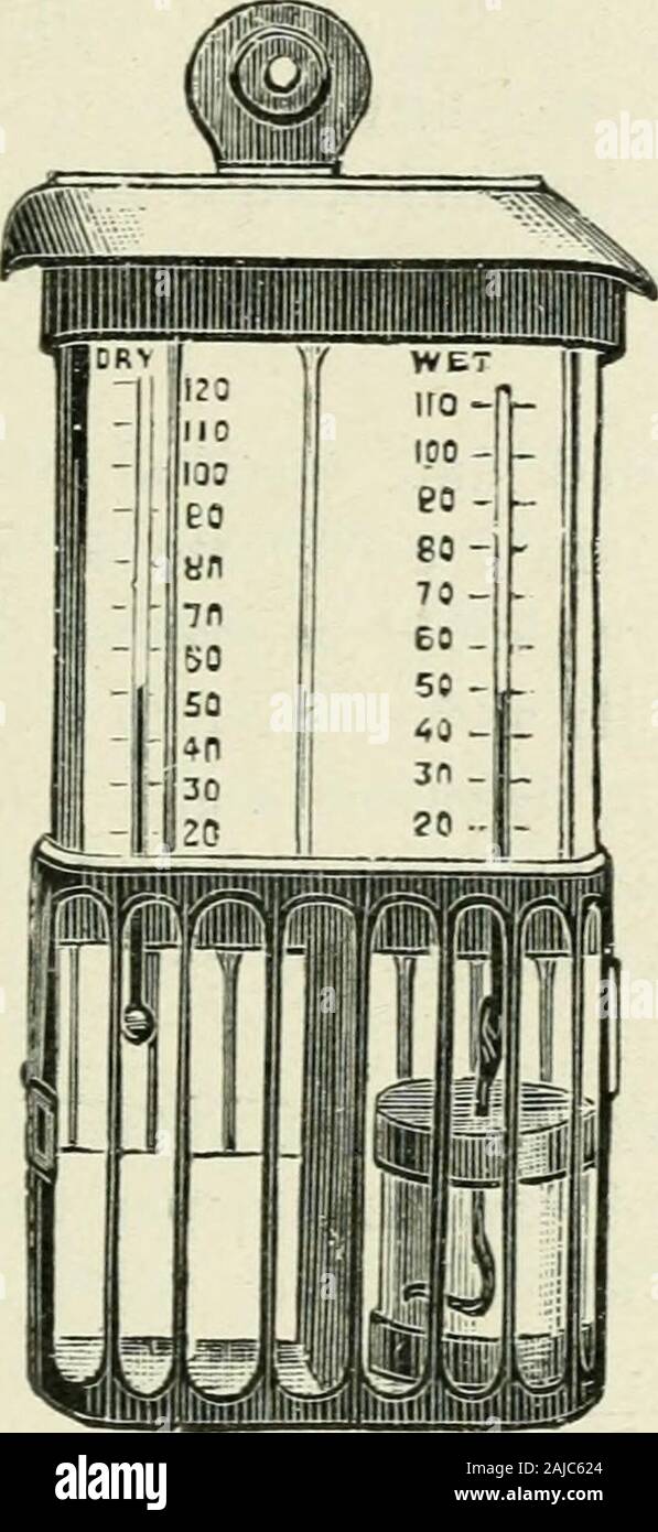 Ankylostomiasis hi-res stock photography and images - Alamy