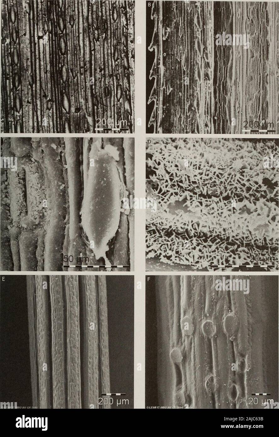 Contributions from the United States National Herbarium . Figure 73 ...