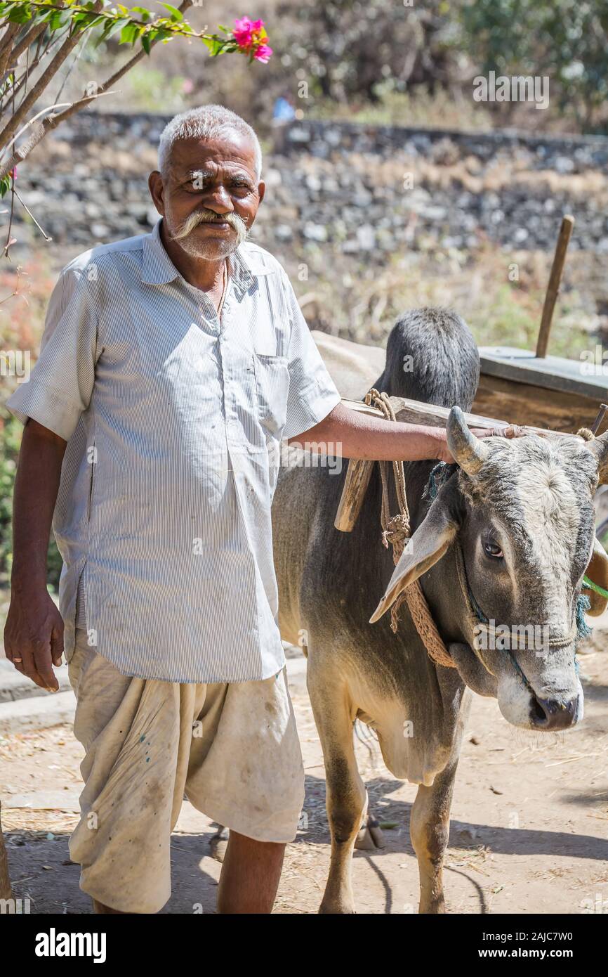 Udaipur, India - March 06 2017: A man poses with his bull. After a job ...