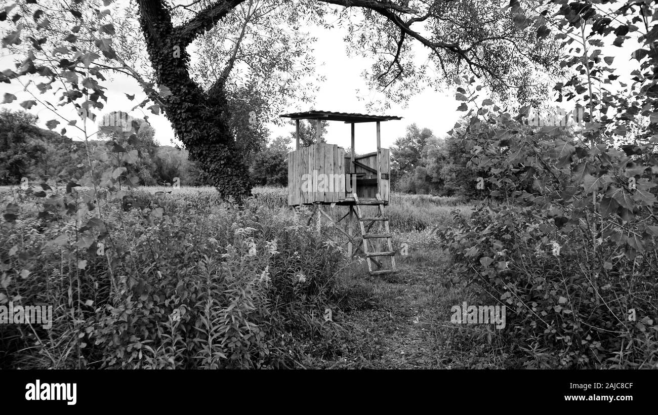 Wooden observation deck in the wild Stock Photo - Alamy
