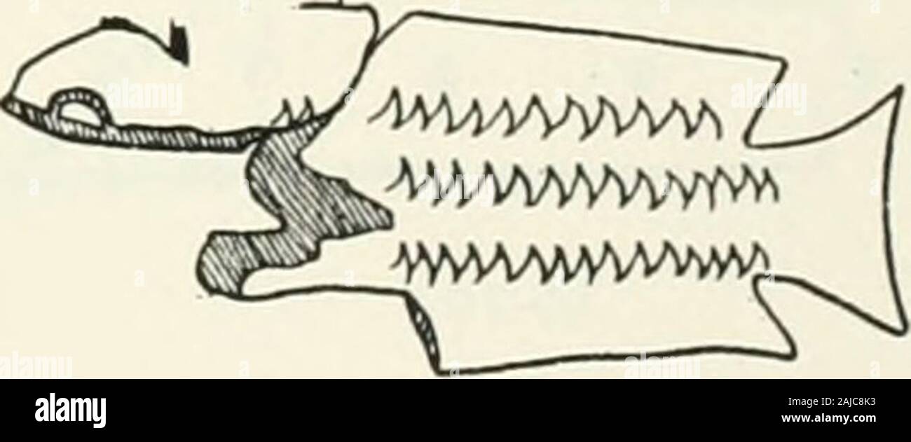 Archaic objects . 1*039 Stock Photo - Alamy