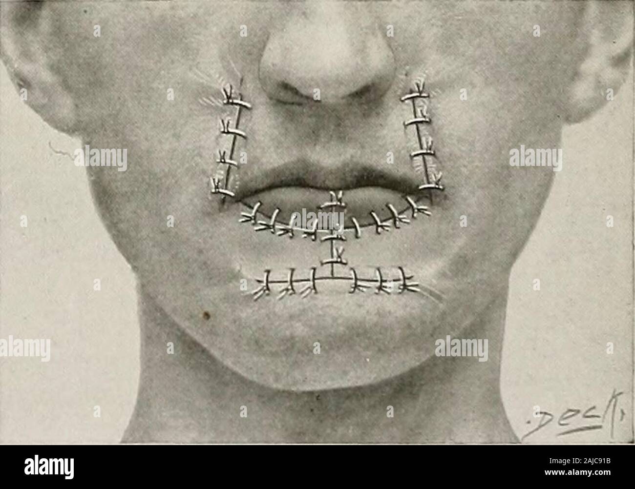 Bottom cheeks hi-res stock photography and images - Alamy