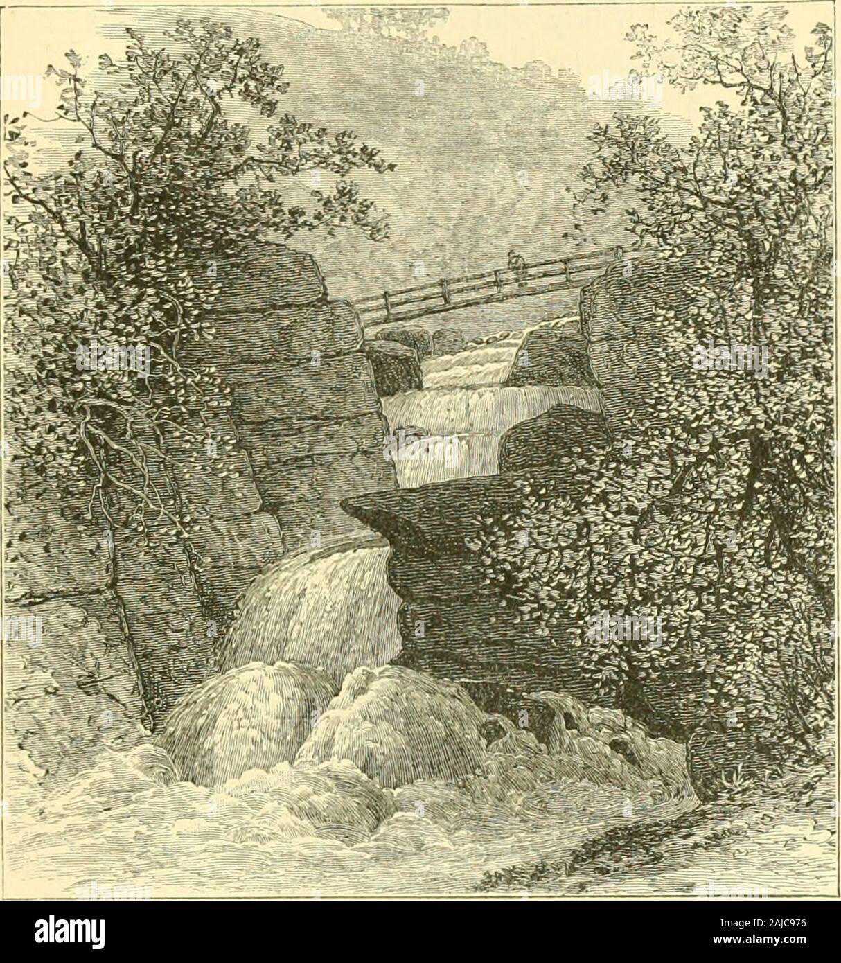 King roderick hi-res stock photography and images - Alamy