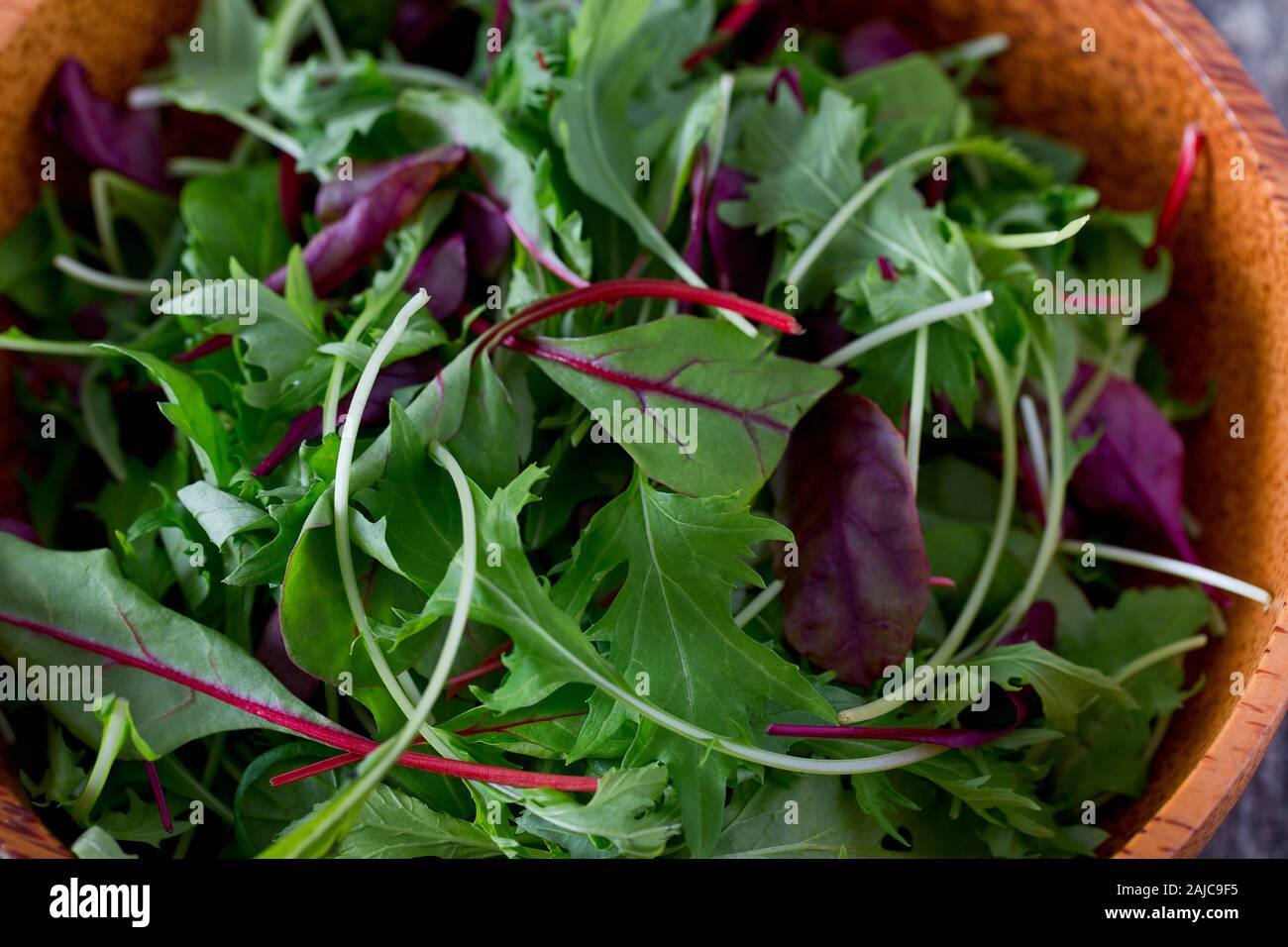 Mix leaf hi-res stock photography and images - Alamy