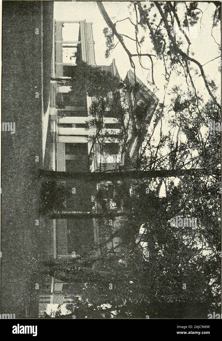 Angus goodwin hi-res stock photography and images - Alamy