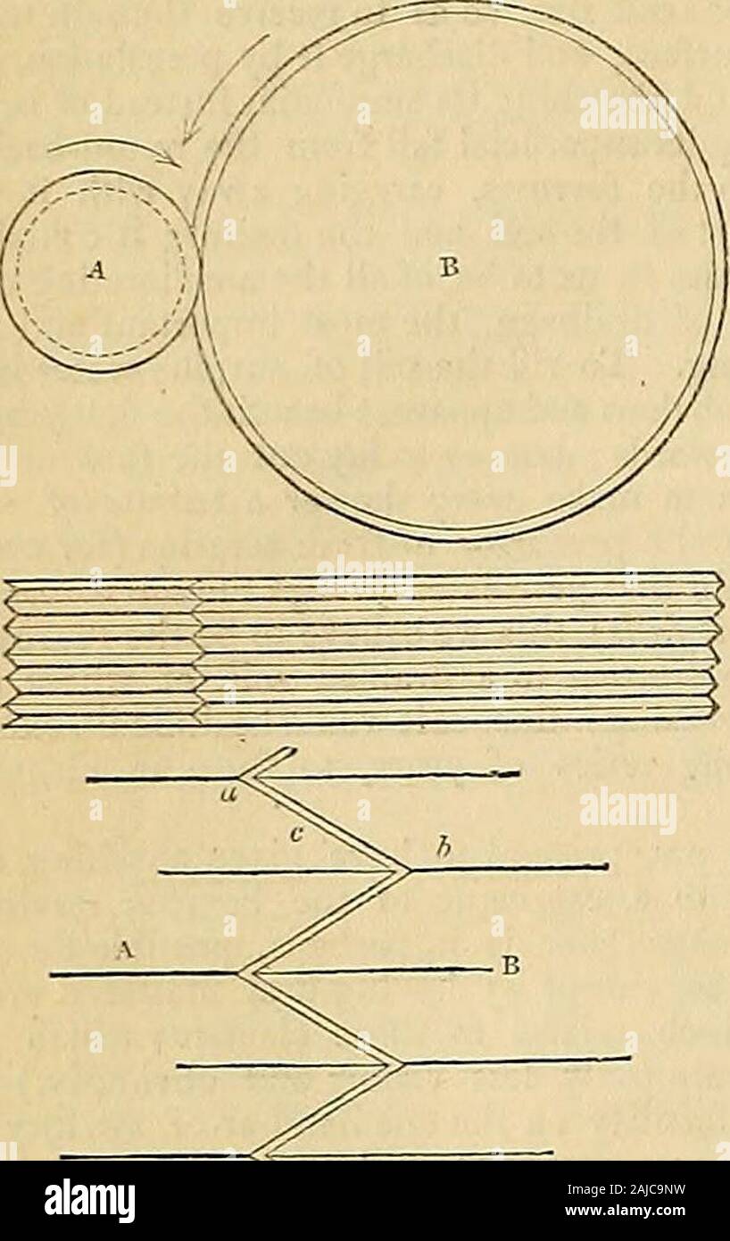 Seed Pos High Resolution Stock Photography and Images - Alamy