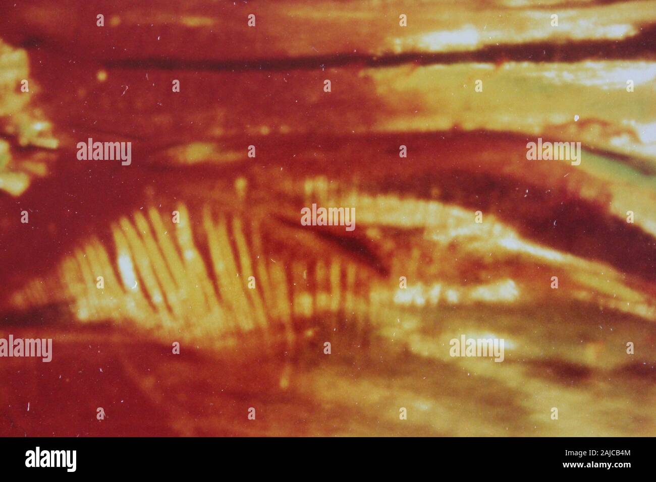 Fine 1970s color extreme photography Stock Photo - Alamy