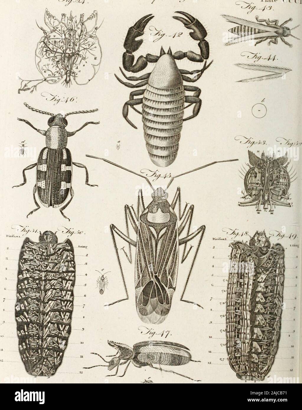 Future moth hi-res stock photography and images - Alamy