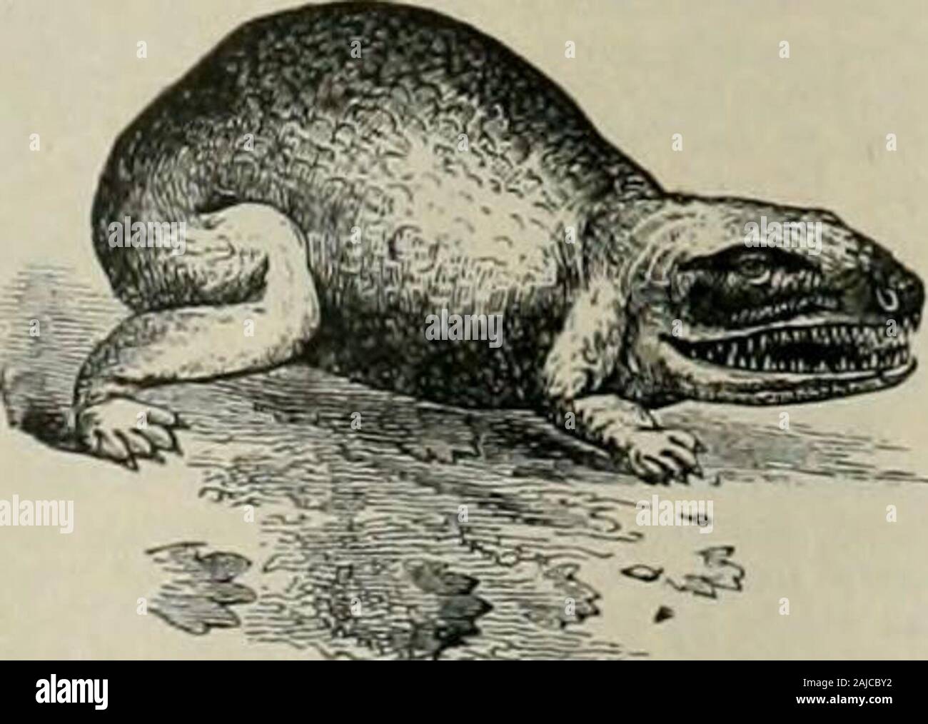 Nih lab hi-res stock photography and images - Alamy