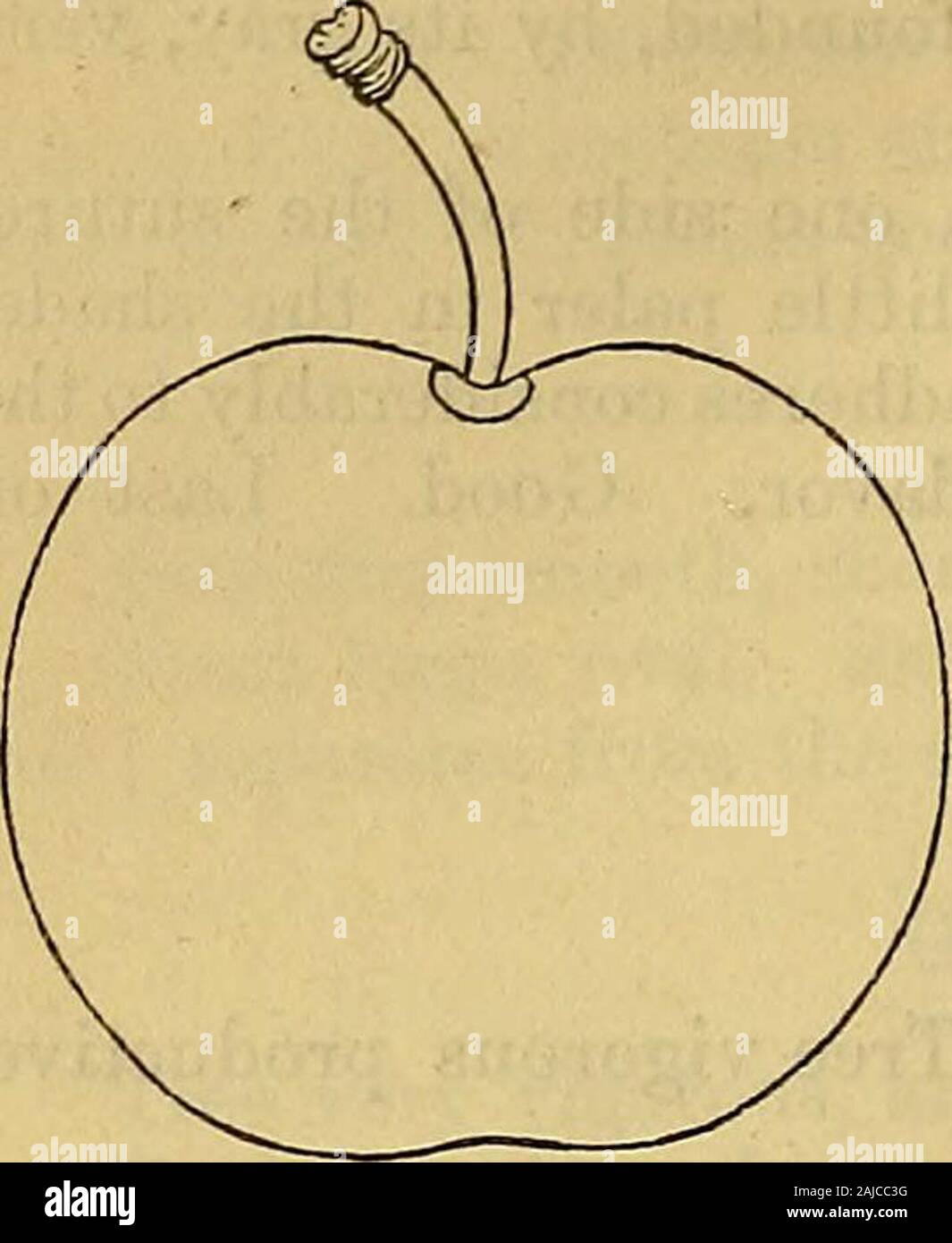 The fruits and fruit-trees of America; . let. New Green Gage. Abricotee ...