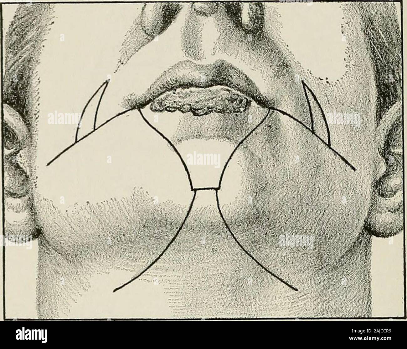 Page 908 hi-res stock photography and images - Alamy