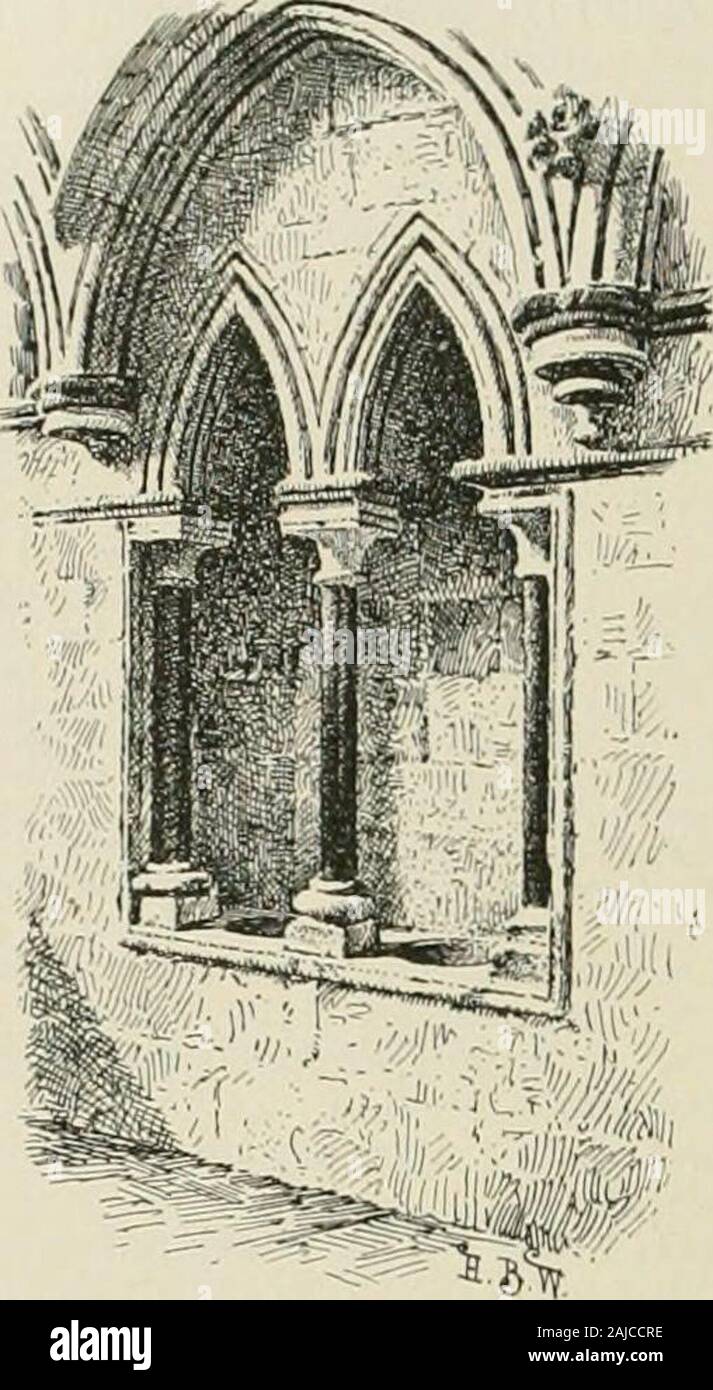 Pisi fish hi-res stock photography and images - Alamy