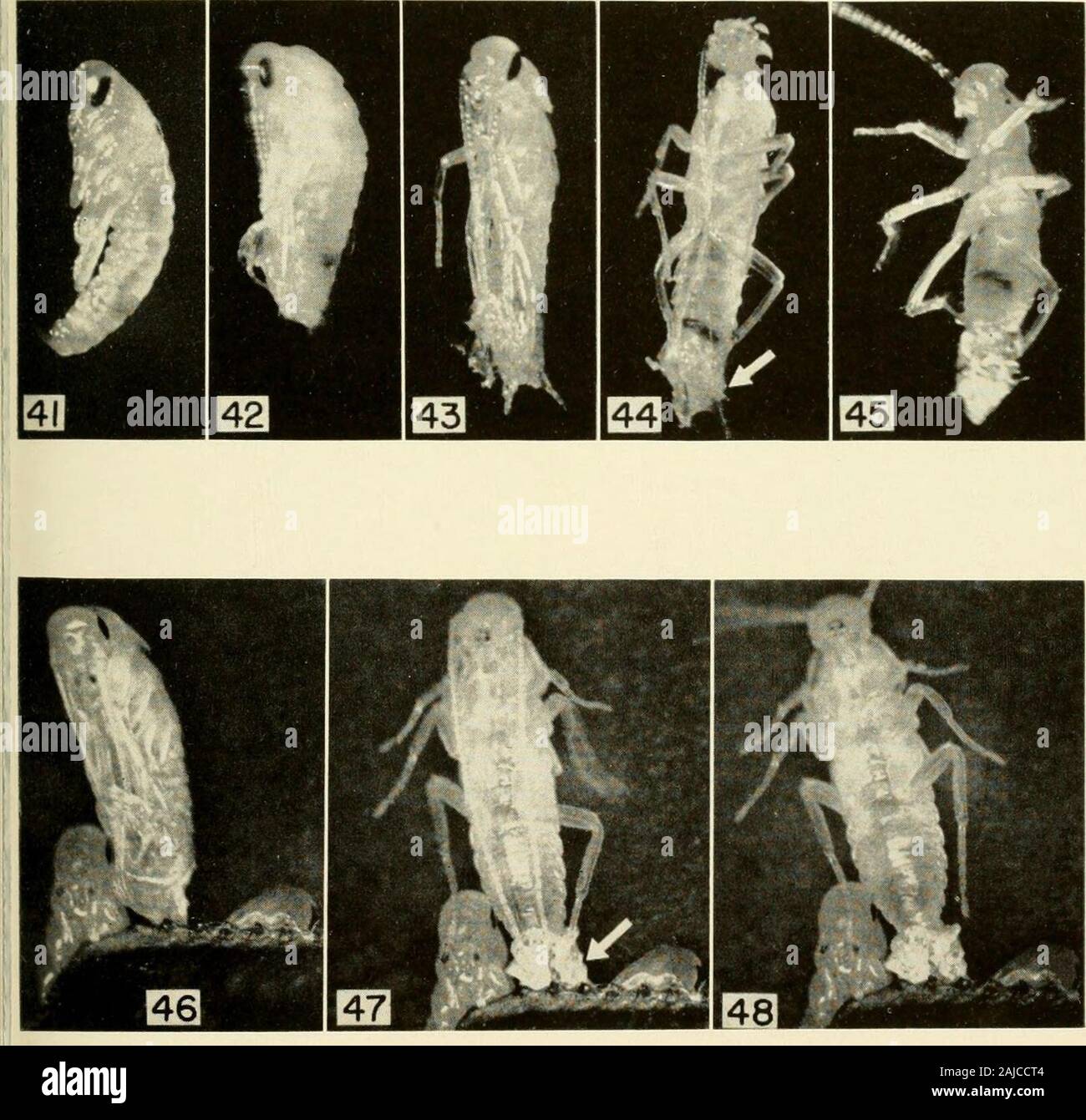 Smithsonian miscellaneous collections . (See opposite page for legend ...