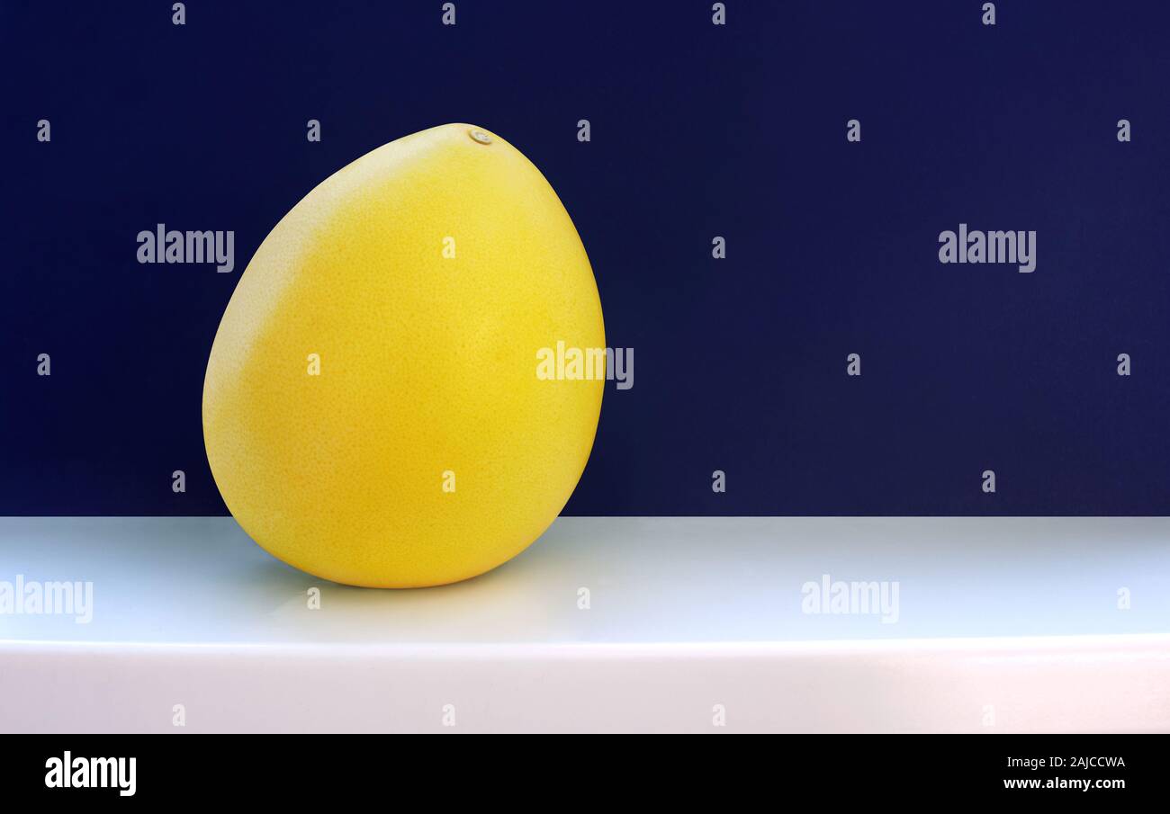Red pomelo. Yellow fruit on a classic deep blue background on a white ...