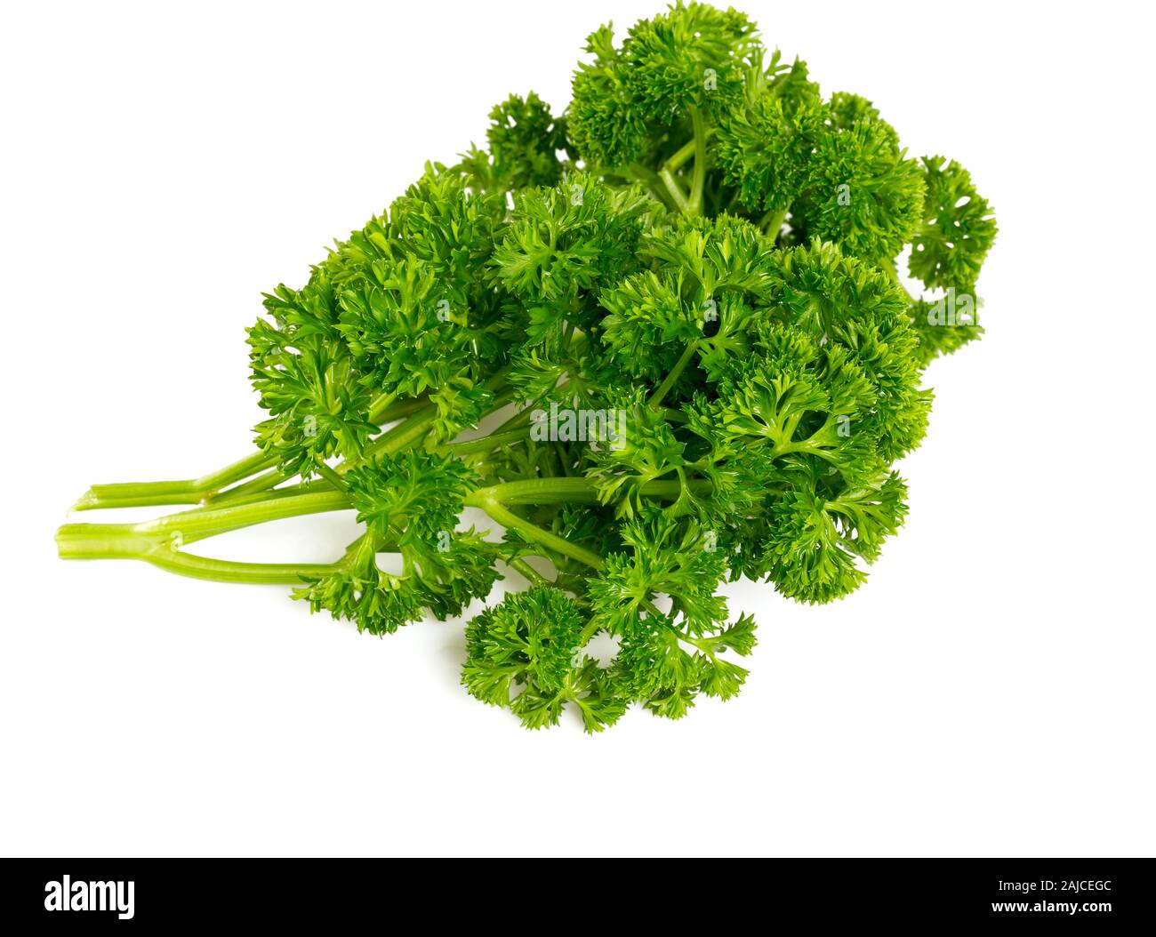 Parsley gourmet hi-res stock photography and images - Alamy