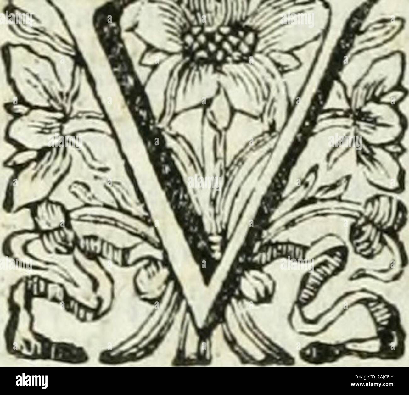 Manos que ven hi-res stock photography and images - Alamy