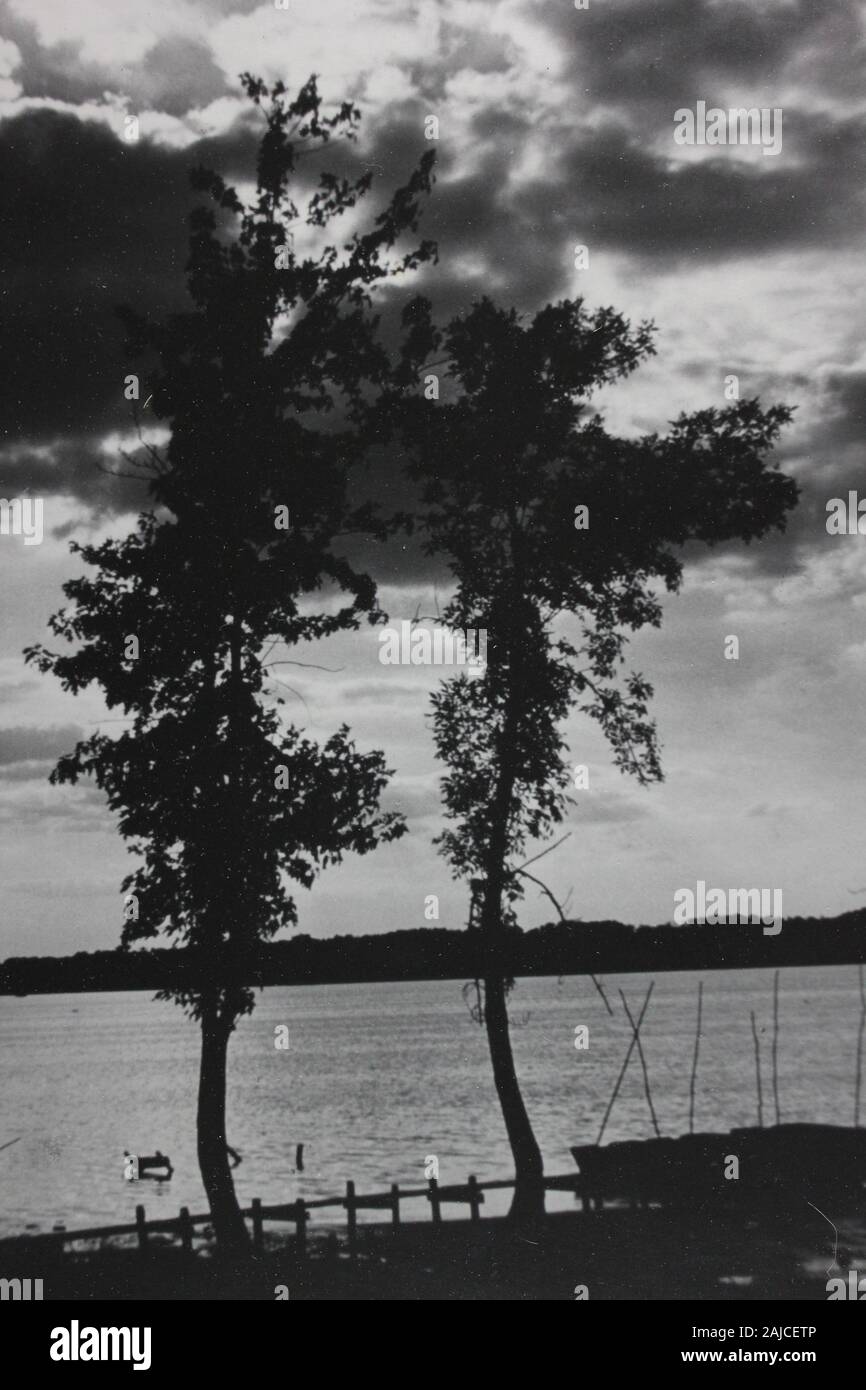 Fine 1970s black and white photography of quiet grass growing lake side ...