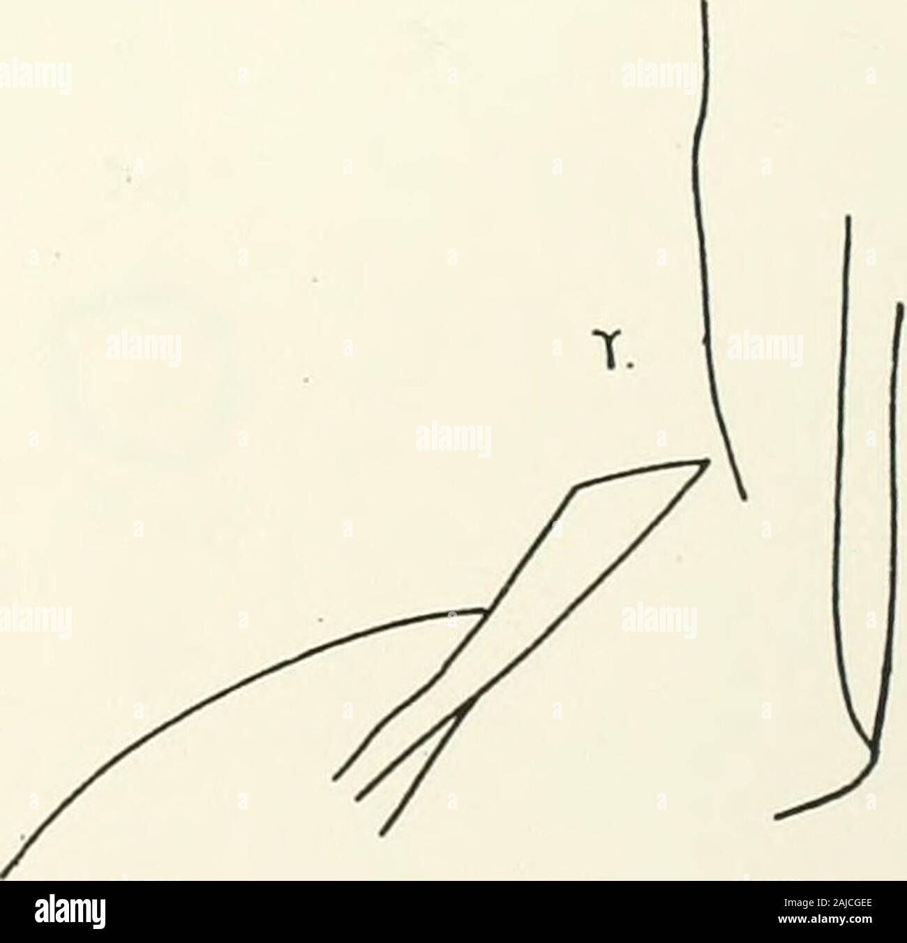 Archaic objects Stock Photo - Alamy