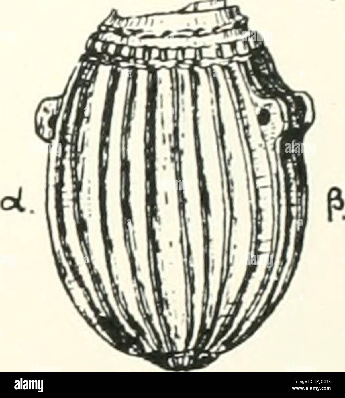 Archaic objects . 11532 Stock Photo - Alamy