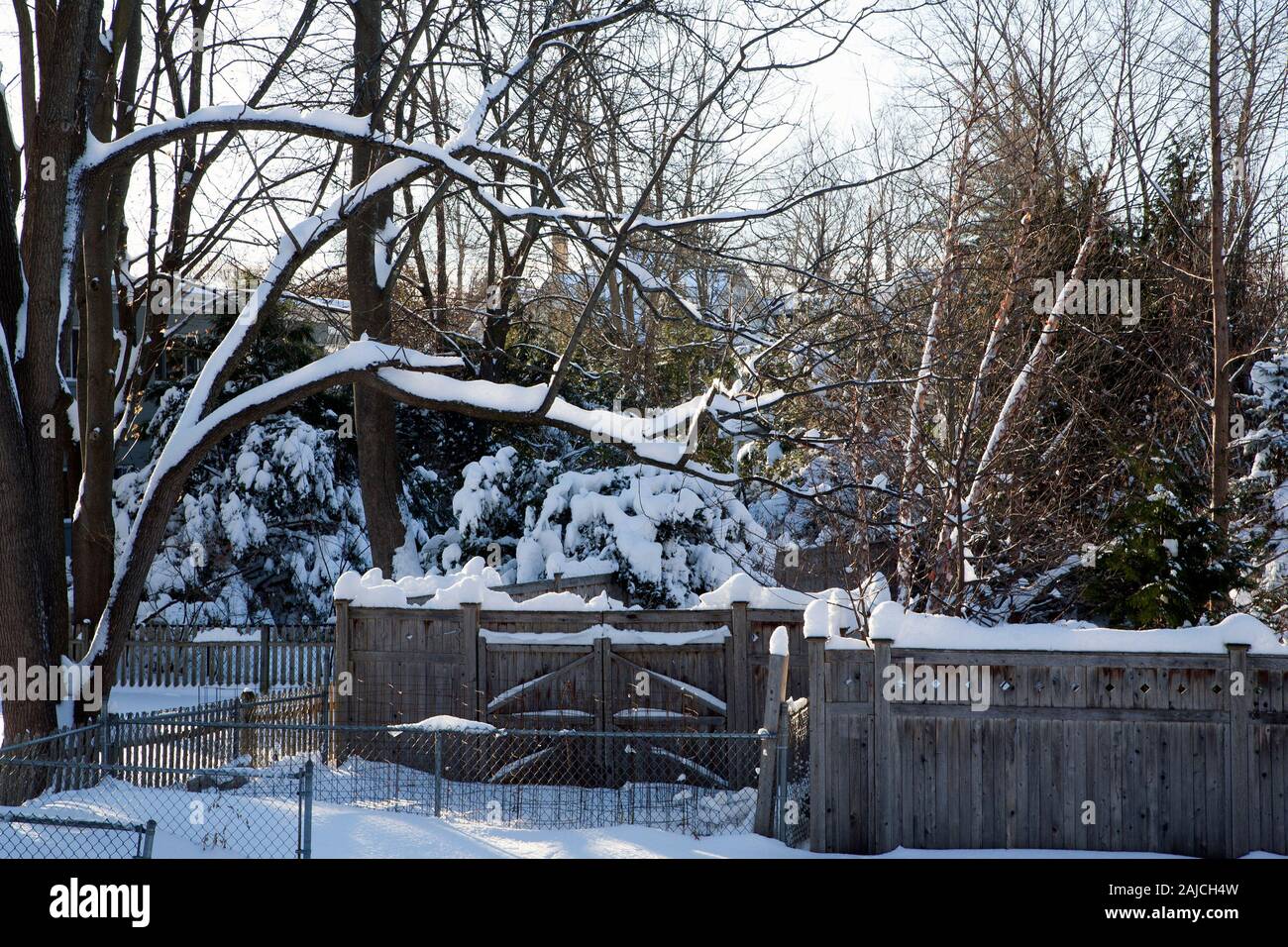 Backyard fencing hi-res stock photography and images - Alamy