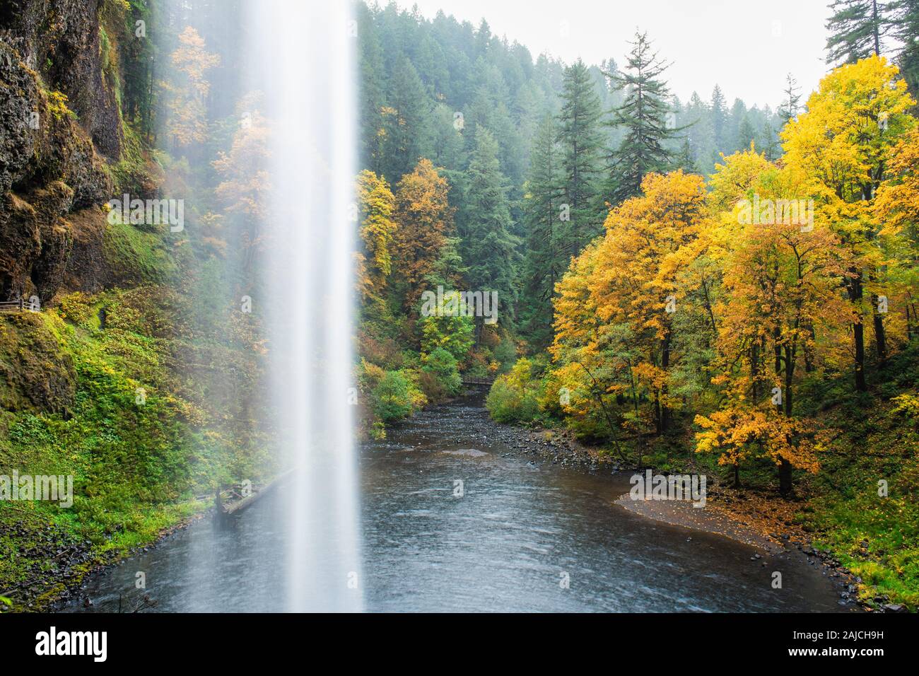 Behind South Fall Silver Falls State Park Stock Photo - Alamy
