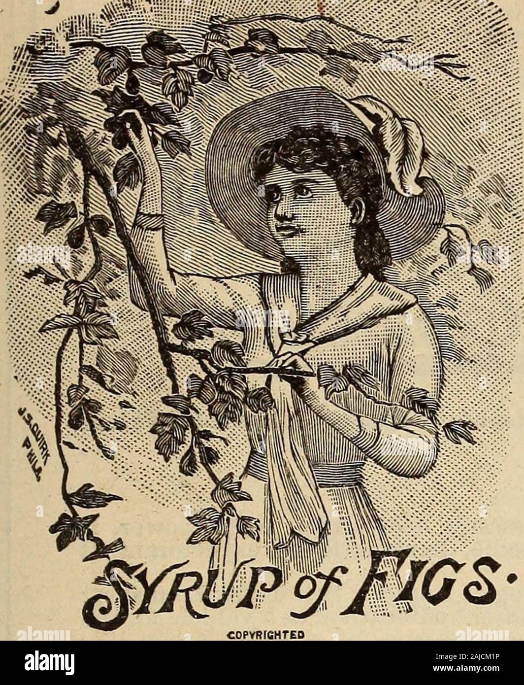 California syrup of figs hi-res stock photography and images - Alamy