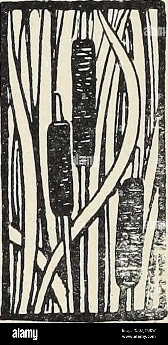 Harper's New Monthly Magazine Volume 104 December 1901 to May 1902 ...