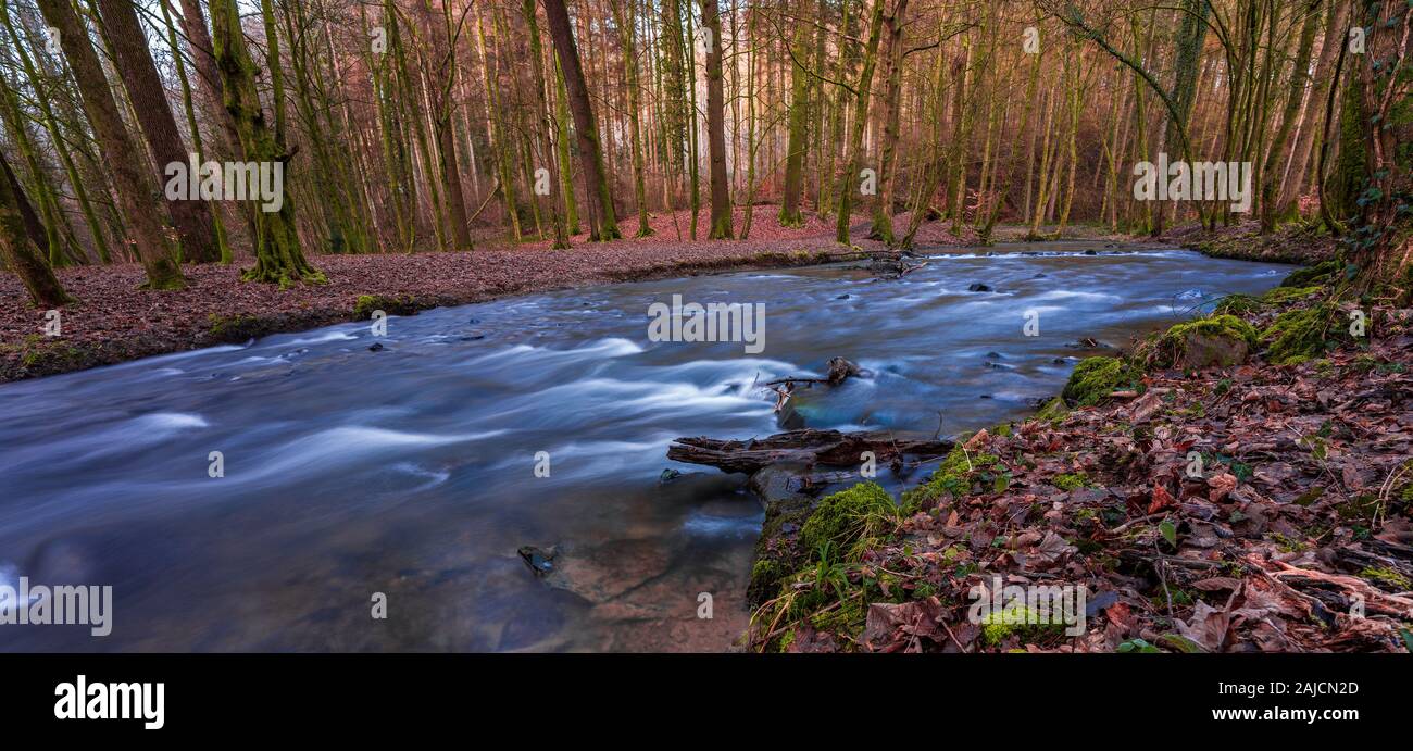 small river in the forest, long exposure Stock Photo - Alamy