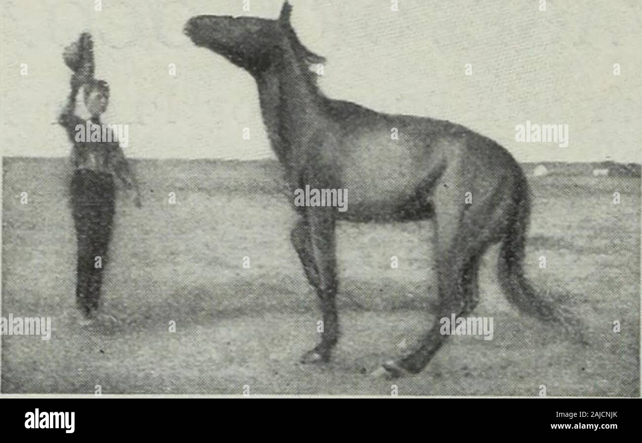 Review possibilities hi-res stock photography and images - Alamy