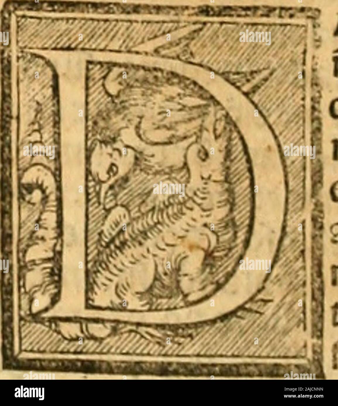 Tirar el libro hi-res stock photography and images - Alamy