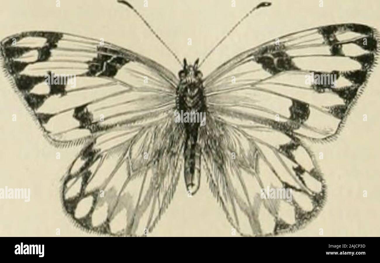 The Century dictionary and cyclopedia; a work of universal reference in ...