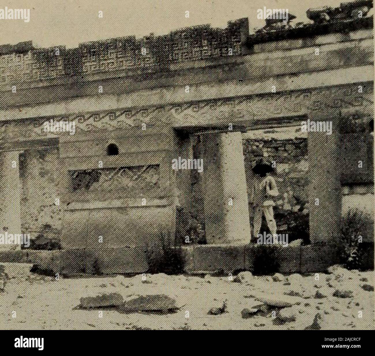 Cynocephali hi-res stock photography and images - Alamy