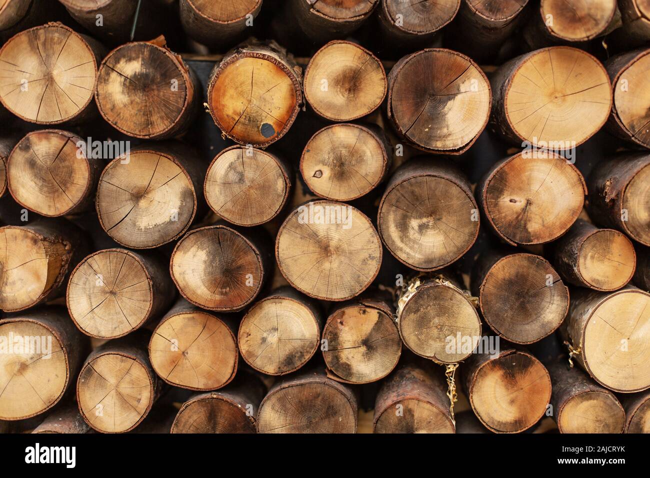 Rows of piled of logs hi-res stock photography and images - Alamy